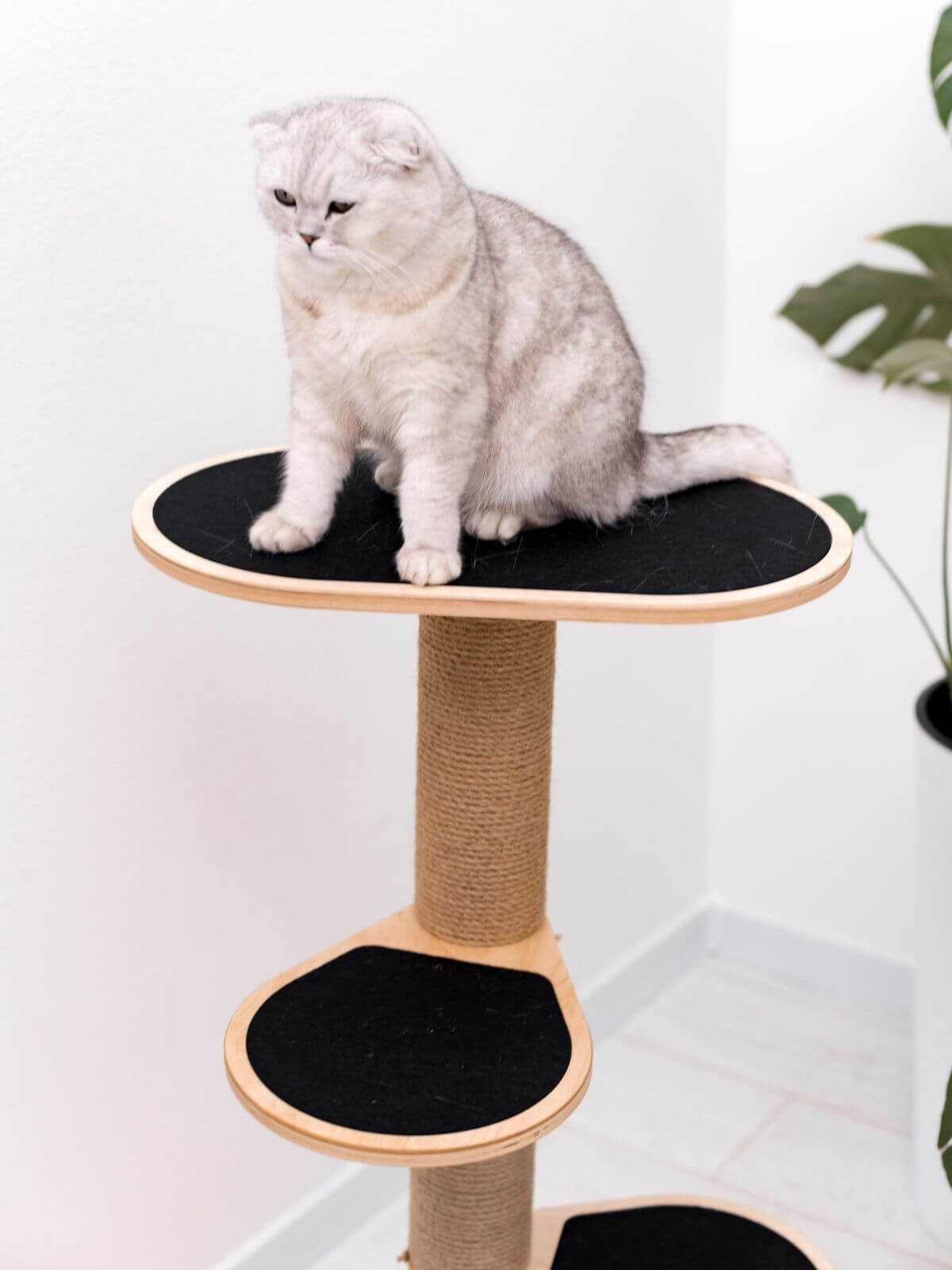 Small Cat Tower Best Price at CatsMode