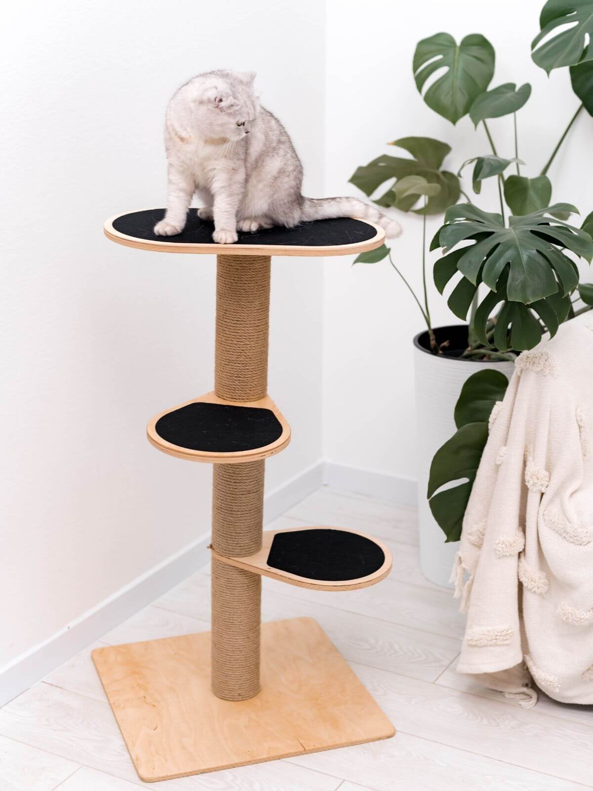 Small Cat Tower Best Price at CatsMode