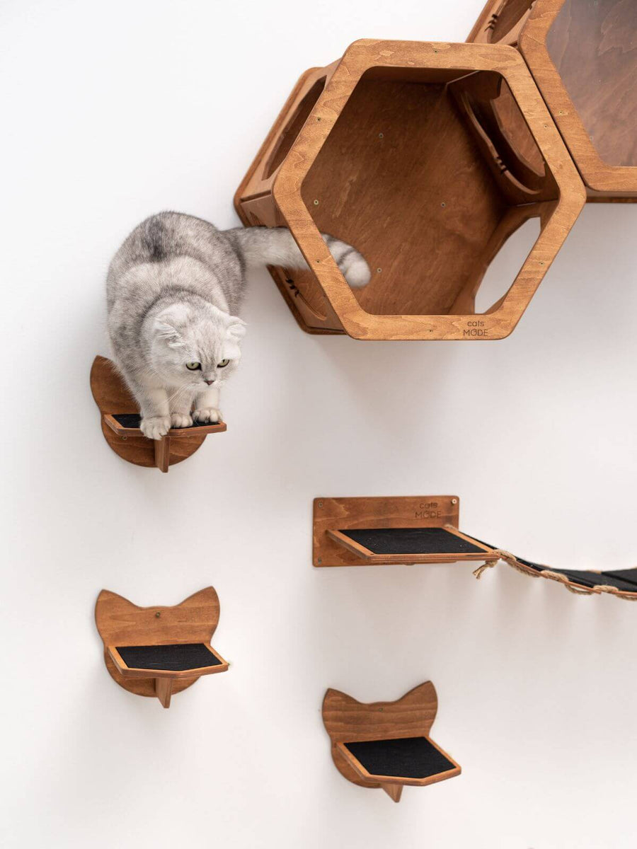 Cat Steps for Honeycomb Cat Shelves Light 🟊 CatsMode