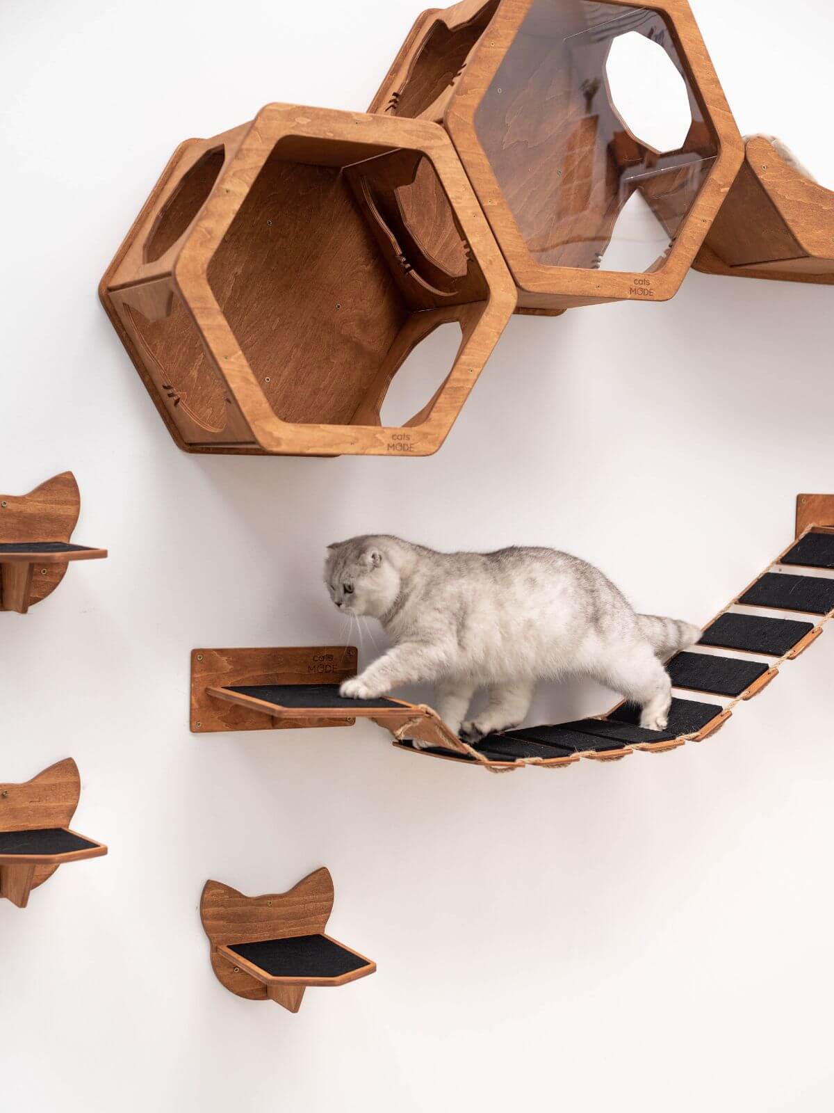 Wall Cat Walk Black CatsMode