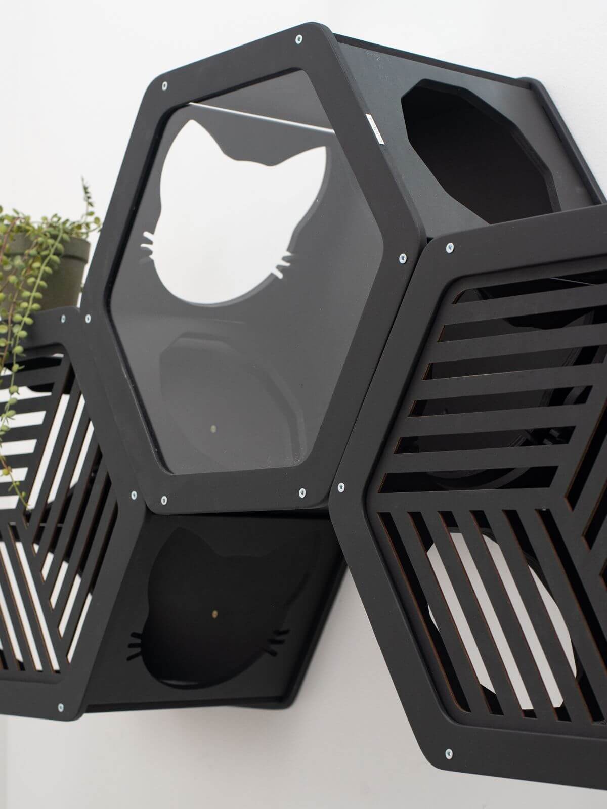 Wall Mount Cat Shelves Black CatsMode