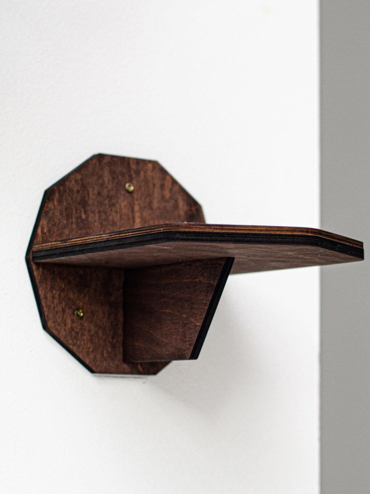 Wall Climbing Steps for Cats 🟊 CatsMode